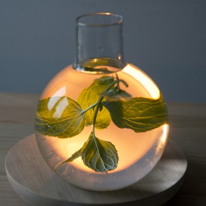 Scientists Create Liquid Light - ZergNet