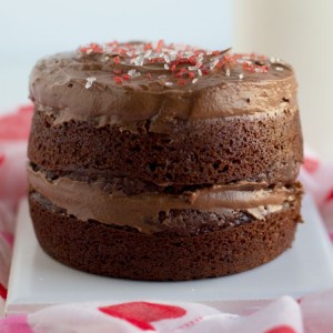 Chocolate Cake for One - ZergNet