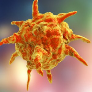 Typhus is Making a Comeback in Texas - ZergNet