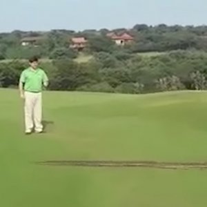 Giant Snake Spotted on South Africa Golf Course - ZergNet
