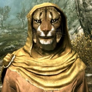 Top 5 NPCs From The Elder Scrolls Series - ZergNet