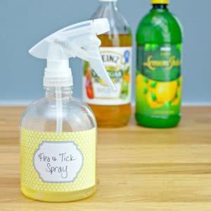 How to Make a Homemade Flea and Tick Repellent - ZergNet