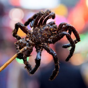 The 9 Scariest-Looking Foods in the World, Yet Still Taste Good - ZergNet