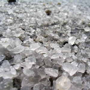 The Environmental Effects of Road Salt - ZergNet