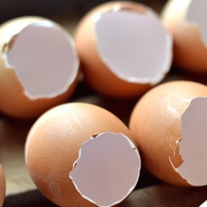 4 Clever Ways You Can Use Eggshells - ZergNet