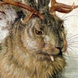 The Legend of the Jackalope Explained - ZergNet