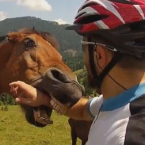 10 Greatest GIF Fails Of All Time - ZergNet