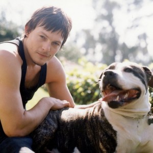 22 Celebrities Who Are Crazy In Love With Their Pit Bulls - ZergNet