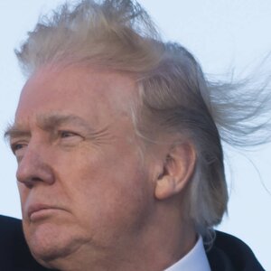 The Truth About Donald Trump's Hair Revealed - ZergNet